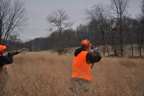 Cedar Valley Preserve Spring Green, Wisconsin | Ultimate Pheasant Hunting