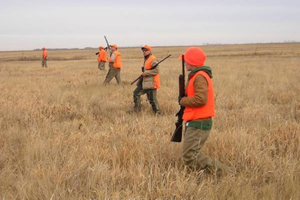 Northern Plains Outfitters Aberdeen, South Dakota | Ultimate Pheasant ...